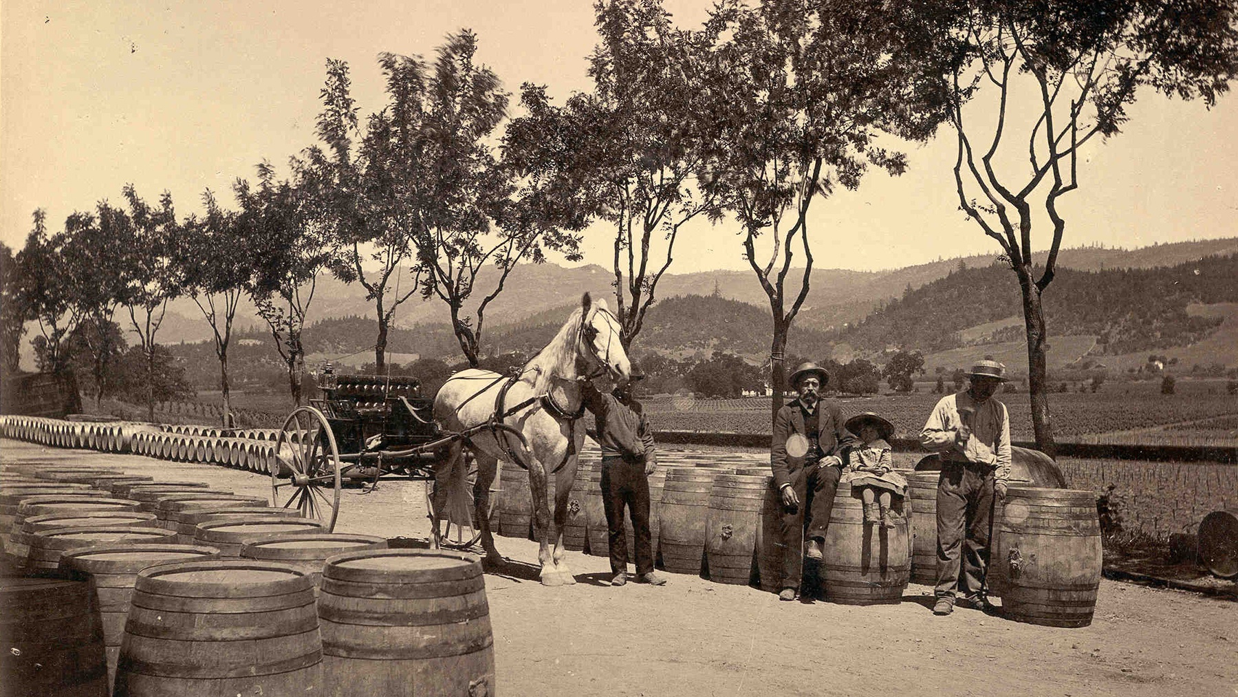 Over 144 years of California Winemaking at Beringer | Breakthru Beyond