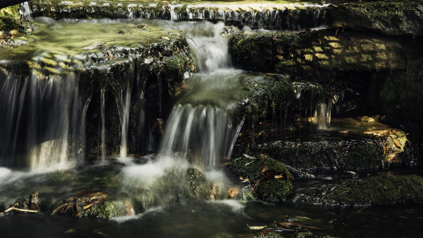 The Legend from Lynchburg: Jack Daniel’s | Breakthru Beyond