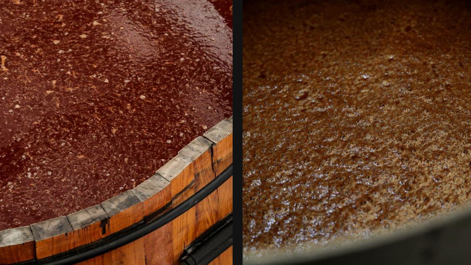 Rising Up from Volcanic Ash in Jalisco, Mexico to Becoming Luxury ...